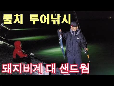 풀치낚시가서 돼지비계 대 샌드웜 테스트 해보니 YouTube