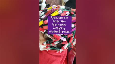 241003 할머니파마4탄뿌리까지볼륨많게일반파마단발파마히피펌시크릿펌파마잘하는전북익산백설란헤어미국피봇포인트파마마스터 원장님직접시술 Youtube