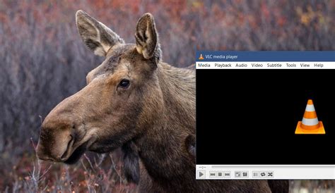How To Fix Apps Opening Off Screen On Windows
