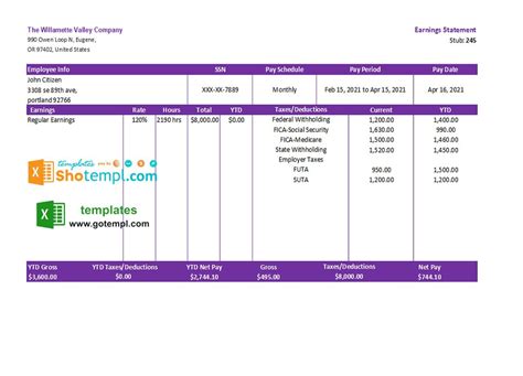 USA OR Pay Stub Fake Template In Excel An PDF Format Faketemplate Ru
