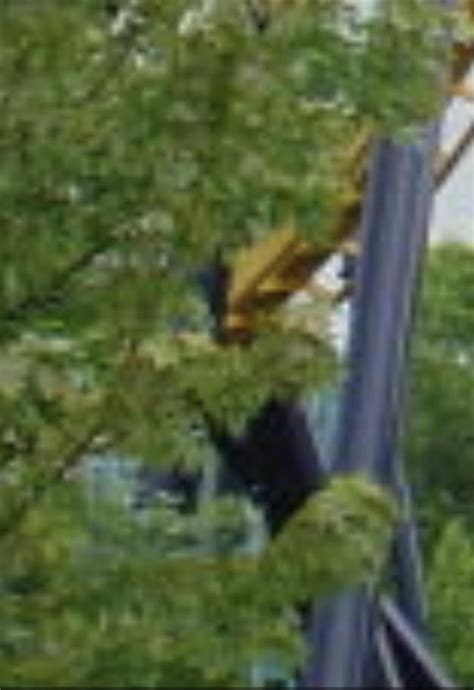 Rcdb Until Steve Day 92 Rguessthecoaster
