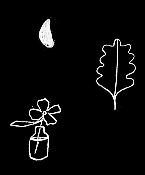 Contact Us —juno Specialists