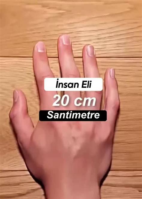 Pelin Engin Duran Posted On Linkedin