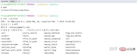 Phpstorm 中使用 Gitbash 作为 Terminal 终端命令行 知乎