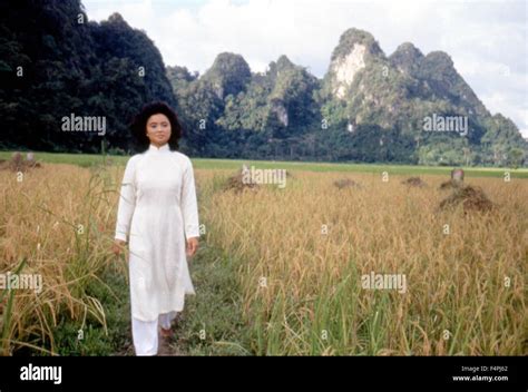 Hiep Thi Le Heaven And Earth 1993 Directed By Oliver Stone [warner