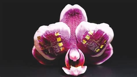 Real Time Multimodal Tactile Detection System Medical Design Briefs