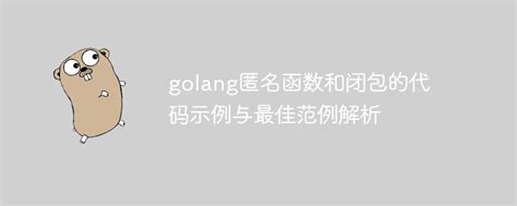 Golang匿名函數和閉包的程式碼範例與最佳範例解析 Golang Php中文網