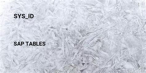 Sys Id Table In SAP