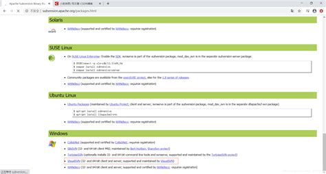 Svn版本控制工具学习掌握is Locked In Another Working Copy Csdn博客