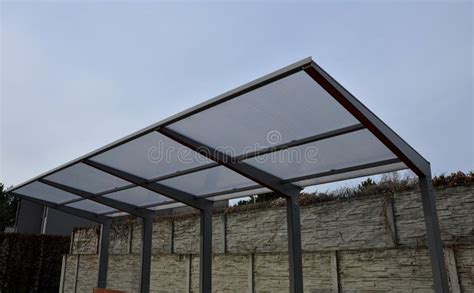 Regular Spring Rust Of Trees In The Orchard There Are Lots Of Cut Stock Photo Image Of