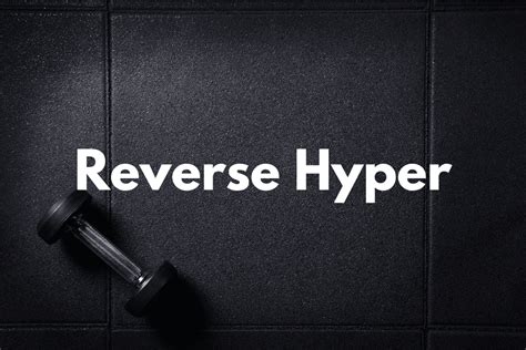 Reverse Hyper How To Muscles Worked Benefits Horton Barbell