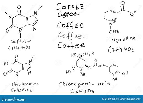 Chemical Structure Of Coffee Caffeine Formula Stock Vector