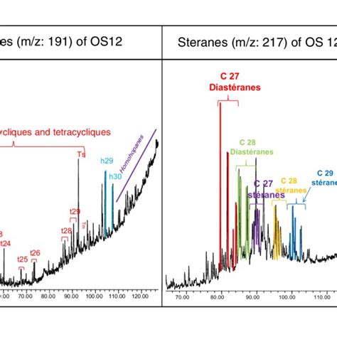 A Plot Of Hydrogen Index Hi Vs Tmax And Tmax Vs Production Index Download Scientific