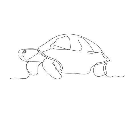 Abstract Turtle Continuous On Line Drawing 21833903 Vector Art At Vecteezy