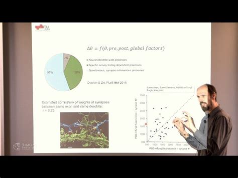 Free Video Dynamic Neural Network Structures Through Stochastic Rewiring From Simons Institute