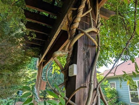 Tp60b Wireless Indoor Outdoor Hygrometer Thermometer Thermopro