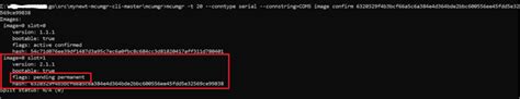 Secure Bootloader Chain Two Stage Upgradable Bootloader MCUBOOT