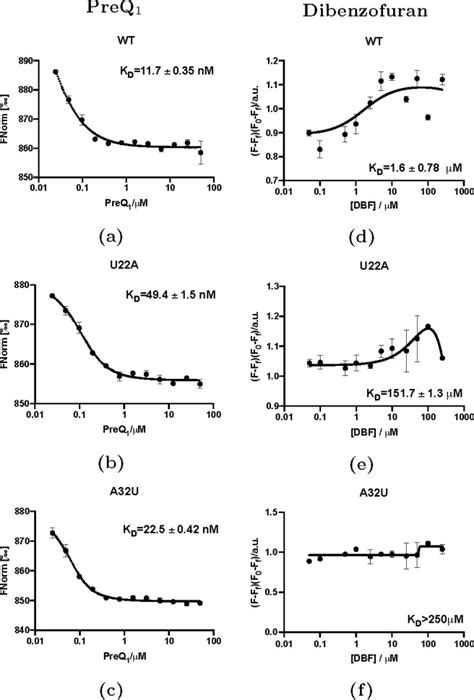 Interrogating Rna Small Molecule Interactions With Structure Probing And Artificial Intelligence
