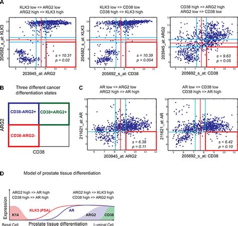 Boolean Analysis Identifies Cd38 As A Biomarker Of Aggressive Localized Prostate Cancer Oncotarget
