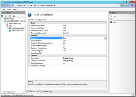 Lab 28 The Impact Of Debugtrue The Best C Programmer In The World