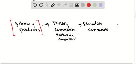 Solvedhumans Are Very Active In Modifying Ecosystems Worldwide If A