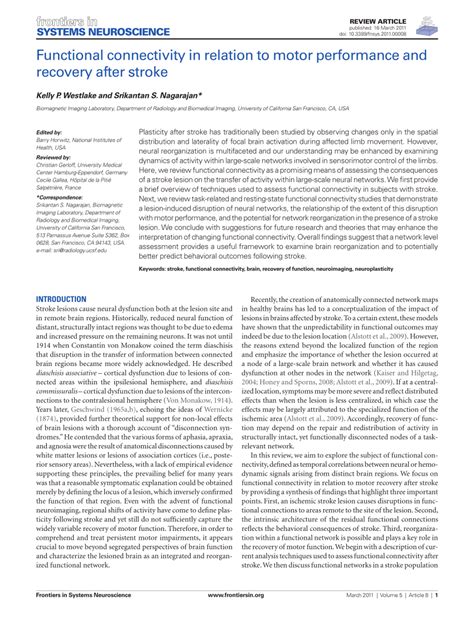 Pdf Functional Connectivity In Relation To Motor Performance And