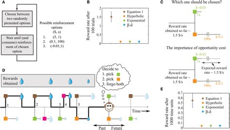 A Schematic Illustrating The Problem Of Intertemporal Decision Making