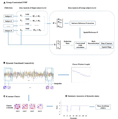 Figure 1 From A Novel Constrained Non Negative Matrix Factorization Method For Group Functional