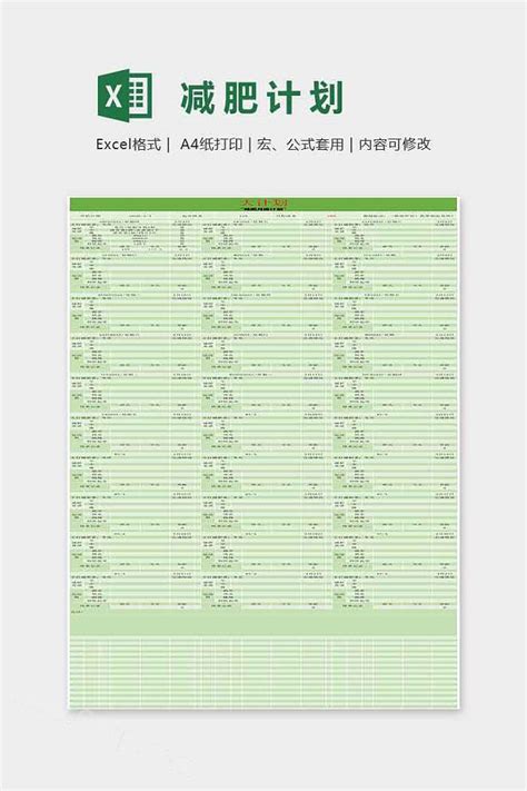 完备详细减肥计划表 Excel表格下载 巧圣网