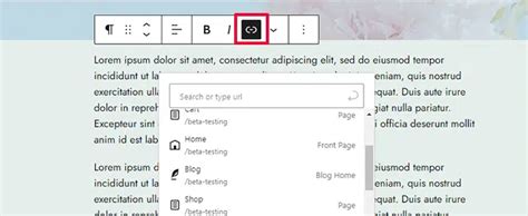 Wordpress 65 “regina” Update Features And Updates