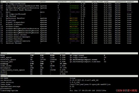 Java 诊断工具 Arthas 常见命令（超详细实战教程）一） 阿里云开发者社区