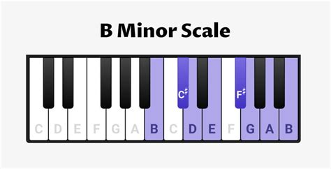 B Minor Scale Für Piano Scales Chords And Exercises Oktav