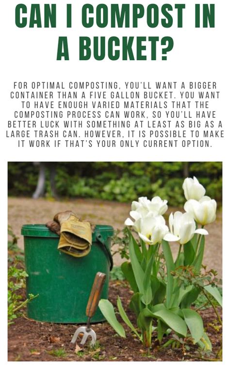 Can I Compost In A Bucket Compost Guide