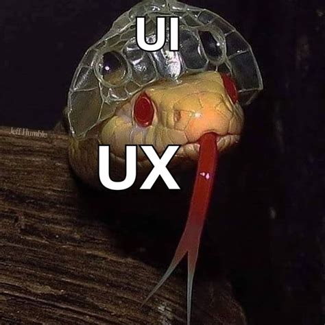 19 Ux Vs Ui Memes That Will Haunt Your Soul — Jeff Humble