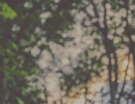 2018 Course Catalogue Test Gillianlee24 Page 1 4 Flip Pdf Online Pubhtml5