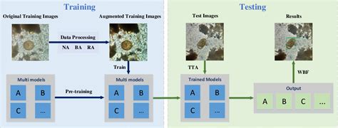 Figure 1 From A Robust Ensemble Model For Parasitic Egg Detection And Classification Semantic