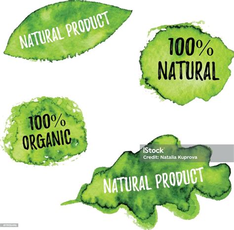 100 천연 유기농 천연 제품 생태 자연 디자인 벡터 그린 수채화 잎 자연 유기 바이오 에코 라벨 흰색 바탕에 모양 손으로 그린