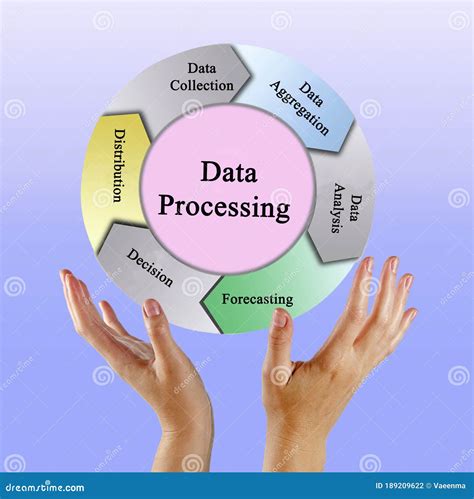 Components Of Data Processing Stock Photo Image Of Processing Female 189209622