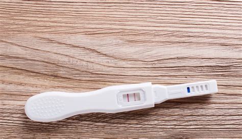 5 Best Ovulation Tests Nov 2020 BestReviews