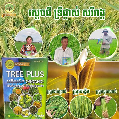 ស្តេចជី សរីរាង្គធម្មជាតិ Phnom Penh