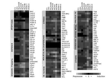 Cluster Analysis Of A Segment Of Respective Microarray Experiment In Download Scientific
