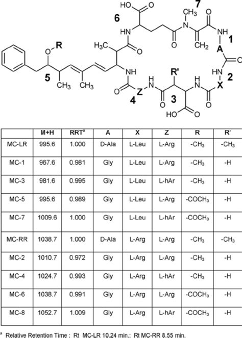 Structures Of Microcystins Rr And Lr And The Eight Novel Variants From Download Scientific