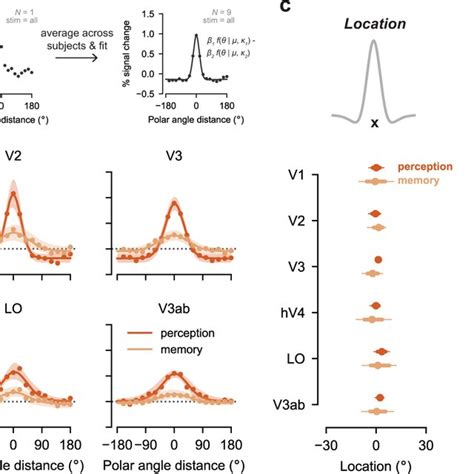 Perception And Memory Activity In Visual Field Coordinates A For Every