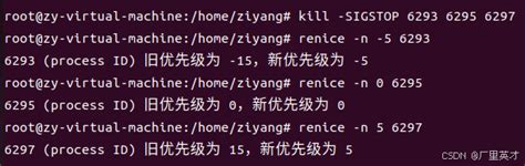 Linux实验报告9 进程管理linux进程管理实验报告 Csdn博客