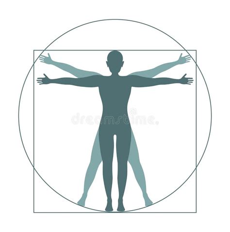 Vitruvian Man Icon Vector Isolated On White Background Vitruvian Man Sign Line Symbol Or