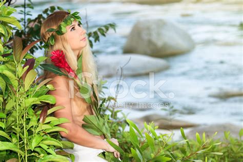Forest Nymph Stock Photo Royalty Free Images Freeimages