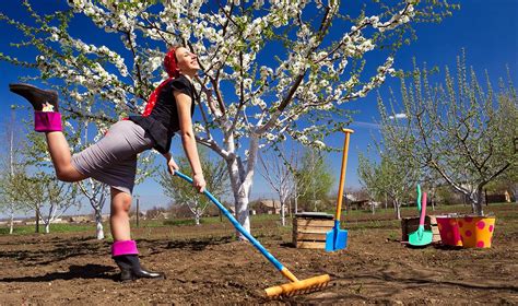 Посівний календар на травень 2024