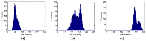 Remote Sensing Free Full Text Flexible Hierarchical Gaussian Mixture Model For High