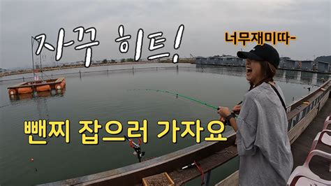 뺀찌낚시 재미지다 천혜사랑바다낚시터 Youtube