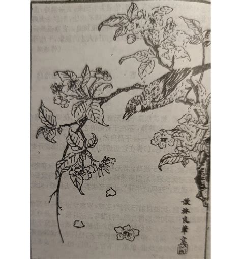 山色空蒙雨亦奇漫话雨